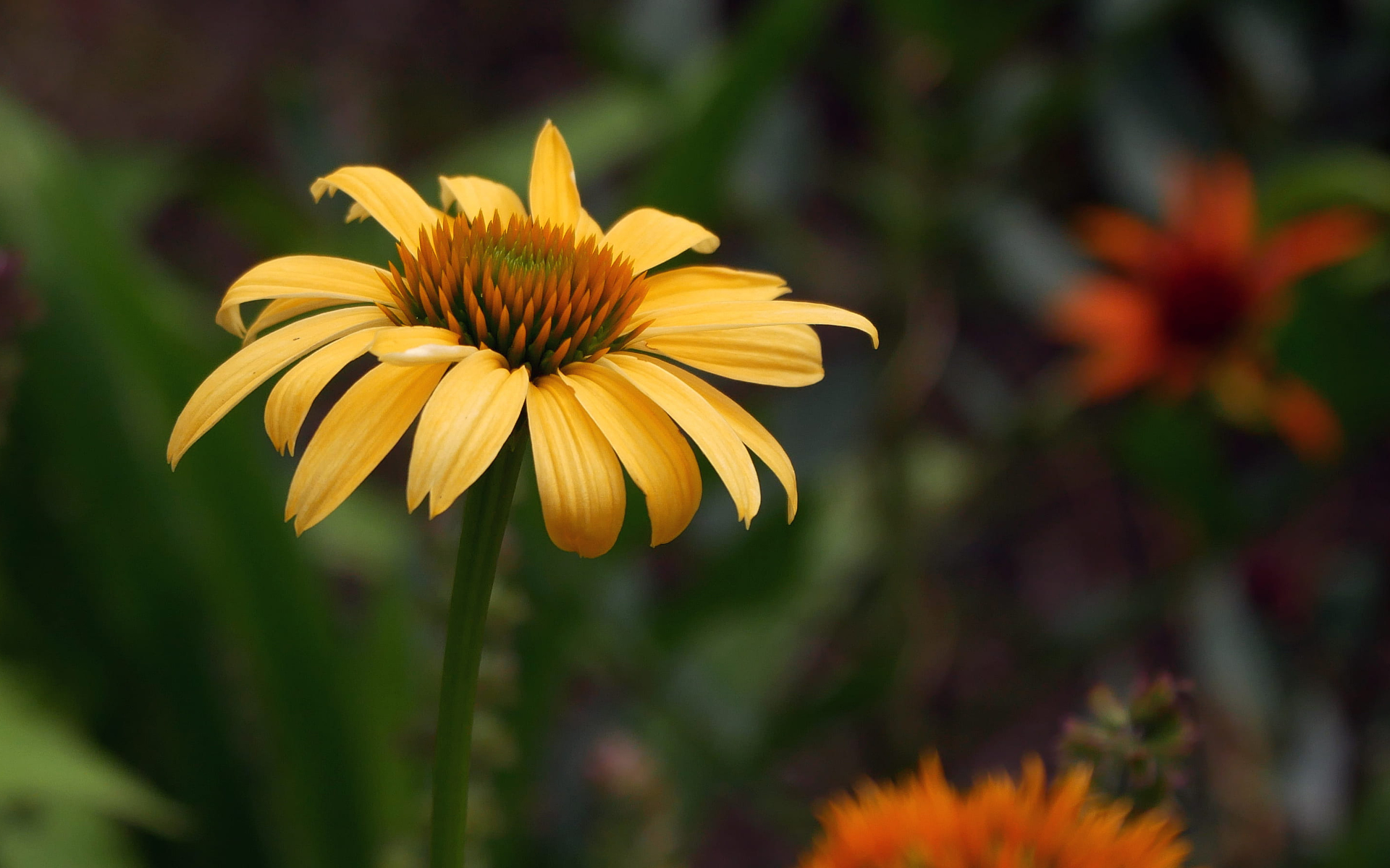 5 Ways to Feel Close to a Loved One Who’s Passed - ForeverMissed Blog